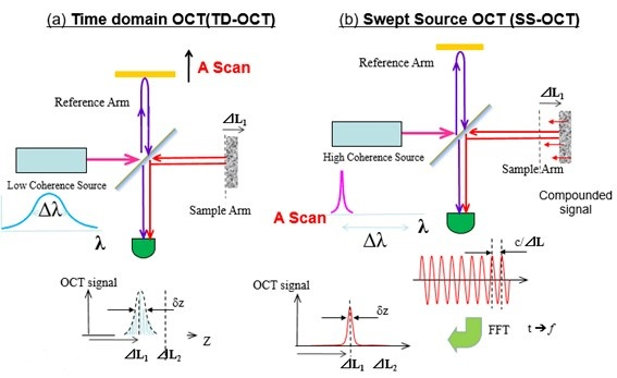 OCT成像技术助力椎管狭窄症的激光手术创新治疗 - 虹科光电